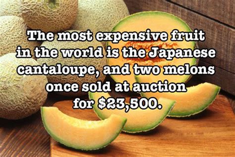 Crazy Food Facts That Might Blow Your Mind 30 Pics