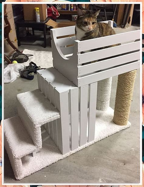 Cozy Cat Bed Ideas Create The Perfect Sleep Space For Your Feline