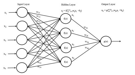 fully connected layers showing input layer where the feature maps are
