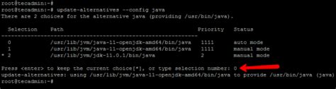 how to install java on debian 10 buster tecadmin