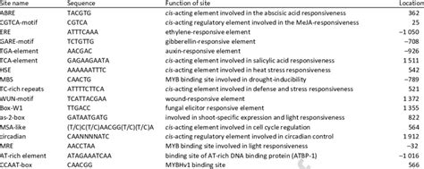 Cis Acting Regulatory Elements In The Promoter Of Mdsmxl8 2 Download