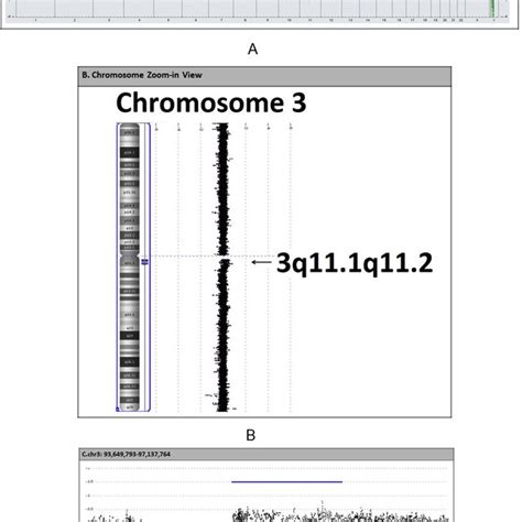 A B And C Array Comparative Genomic Hybridization On The Dna