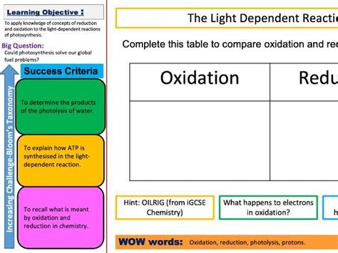 The Light Dependent Reaction Oxford Aqa A Level Biology Teaching