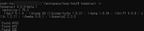 pythonで書くtesseract 4の基本的な使い方。apiとcliからocrを実行する方法 valmore