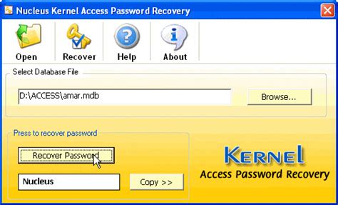 product screenshots kernel for access password recovery software