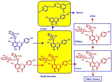 Nutrients Free Full Text The Reciprocal Interactions Between