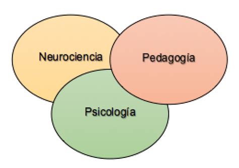 Apuntes Sobre La Neurociencia Educativa Unae