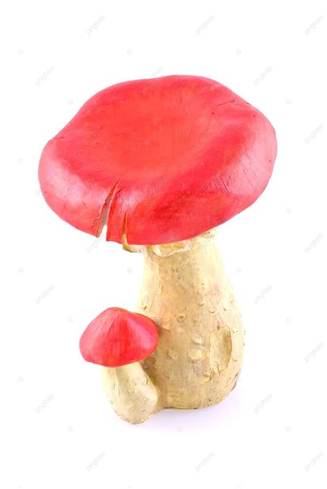 سم غابة الفطر العلجوم صورة الخلفية والصورة للتنزيل المجاني Pngtree