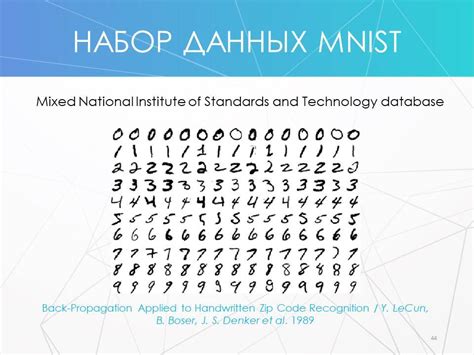 Университет искусственного интеллекта Что такое нейронные сети что