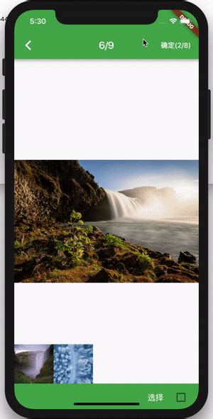pick image video from album by flutter mobile app