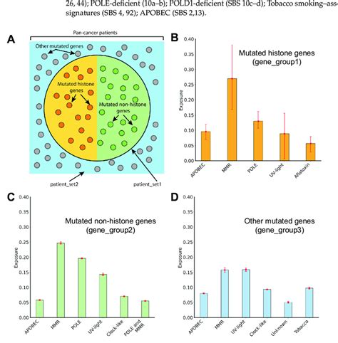 Mutational Processes Operating In Histone And Other Genes A A