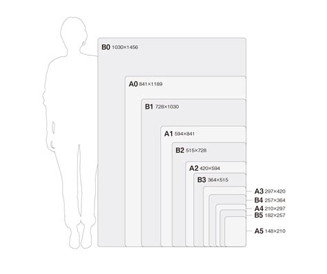 A判、b判、印刷の用紙サイズを人の大きさと比較してみました。 株式会社イースタンインクは大阪のデザイン事務所です。ロゴやチラシなどの