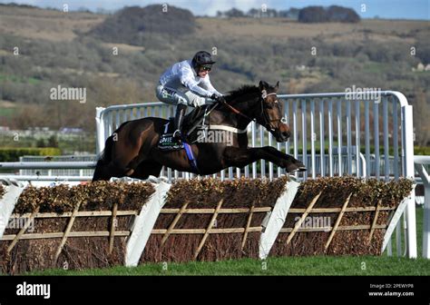 Race 4 The Unibet Champion Hurdle Race Winner Constitution Hill Ridden