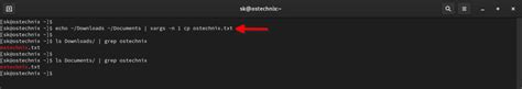copy a file to multiple directories in command line on linux