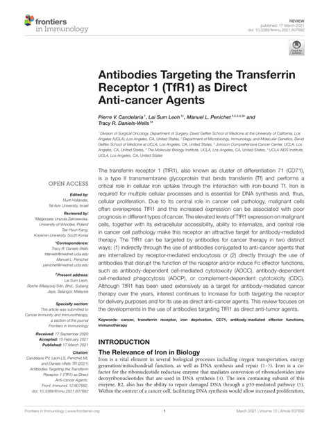 Pdf Antibodies Targeting The Transferrin Receptor 1 Tfr1 As Direct