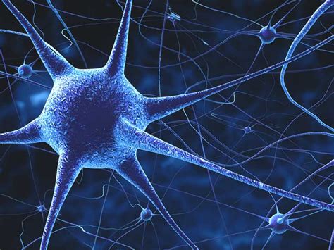 11 fun facts about the nervous system