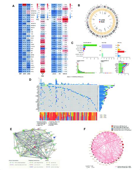 genomic mapping of nrgs in coad patients a heat map showing genomic