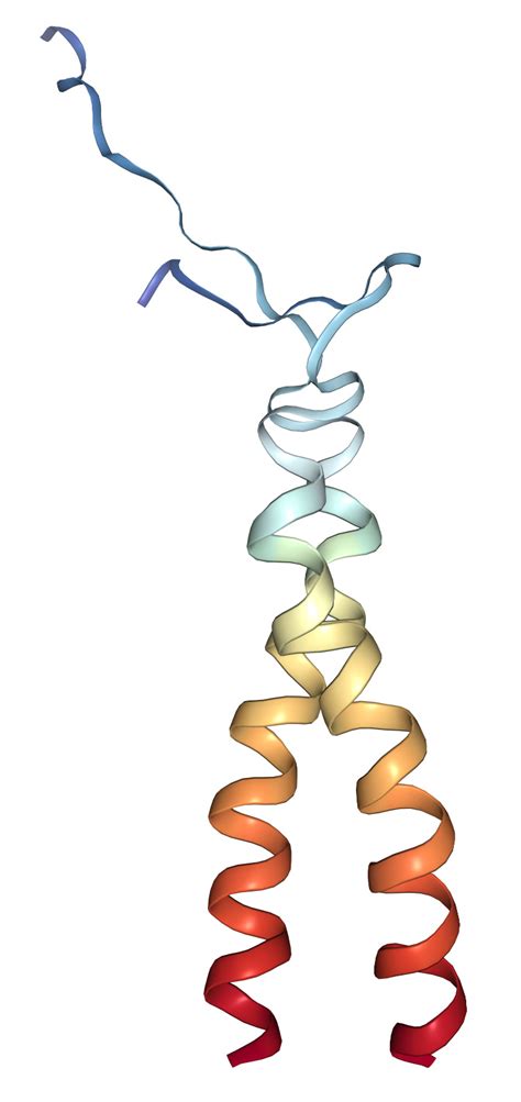 Fgfr3 Protein