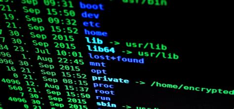 advanced exploitation how to find and write a buffer overflow exploit
