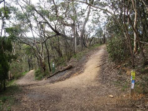 Measday Hike Through South Cleland National Park