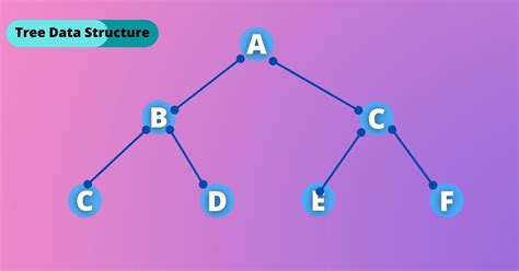 breadth first search bfs graph traversal bfs example wikkihut