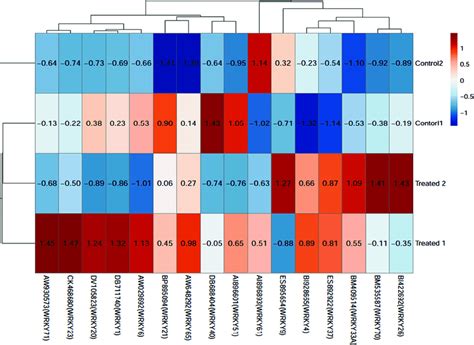 heat map generated through clustvis showing clustering of multivariate