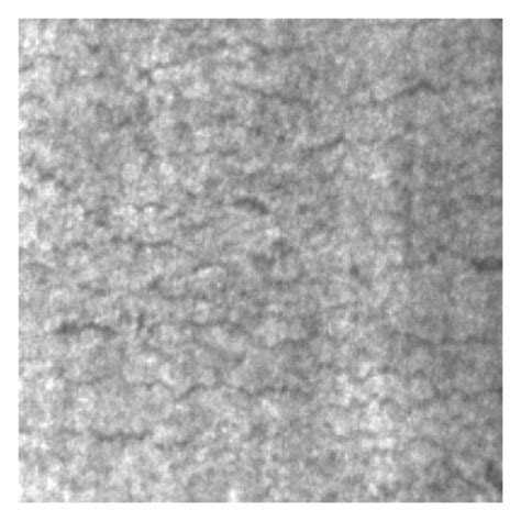 Examples Of Defect Images With Annotations In Neu A Inclusion B