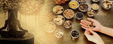 A Prospective About Clinical Specialities Of Ayurveda The Ancient Ayurveda Dr Gopikrishna S
