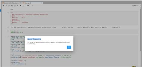 the kernel for yahboom draw draw ipynb appears to have died it will