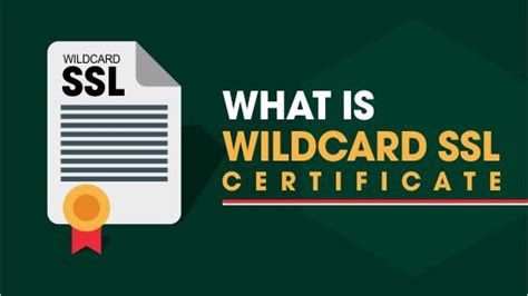 which one is the best between comodo positivessl wildcard vs