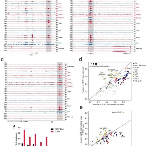 Single Cell Atac Seq Analysis Of T Cell Subsets During Acute Lcmv