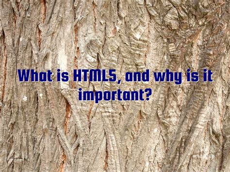 what is html5 and why is it important