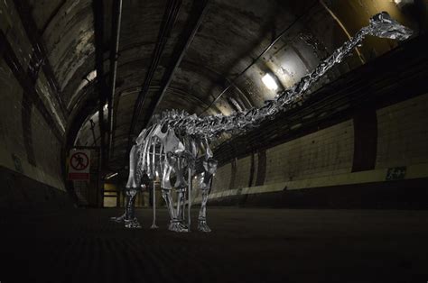 Where Should Dippy The Dinosaur Go On Display Londonist