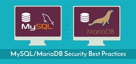 how to connect to mysql without root password on terminal