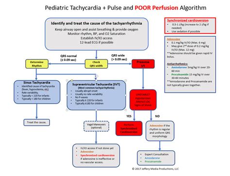 pals tachycardia algorithm learn and master pals