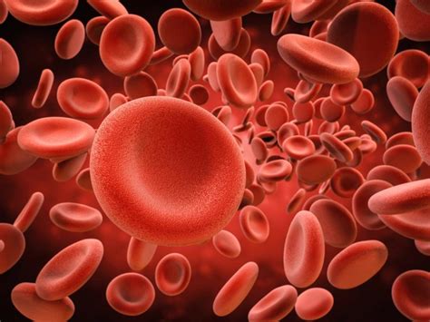 Iron Deficiency Anemia Know In Details About This