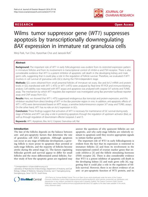 Pdf Wilms Tumor Suppressor Gene Wt1 Suppresses Apoptosis By