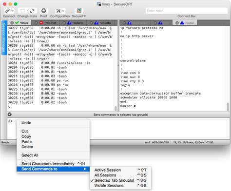 mac bash script tutorial