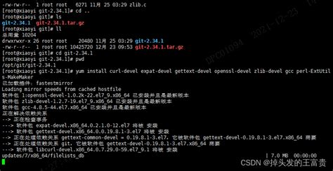 linux安装git（图文解说详细版） 掉头发的王富贵的博客 csdn博客