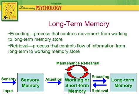 chapter 6 memory stage model of memory