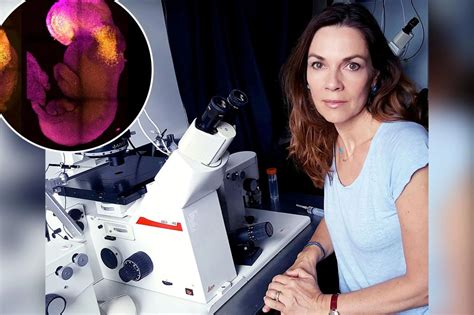 Scientists Create Synthetic Embryo With Brain Beating Heart In