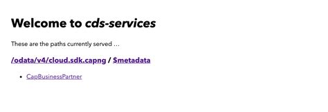 use the sap cloud sdk in the sap cloud application