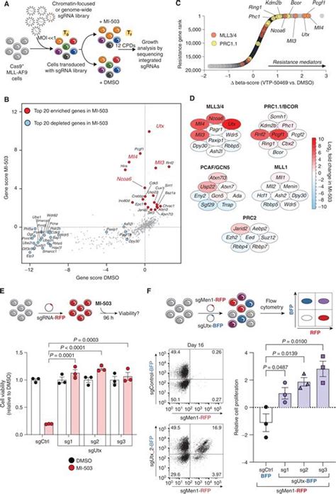 A Molecular Switch Between Mammalian Mll Complexes Dictates Response To