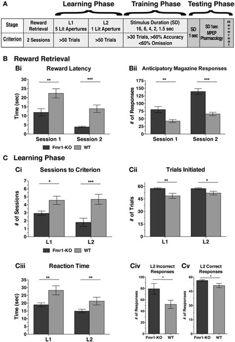 Fmr1 Ko Mice Progress Faster During The Activity Dependent Learning