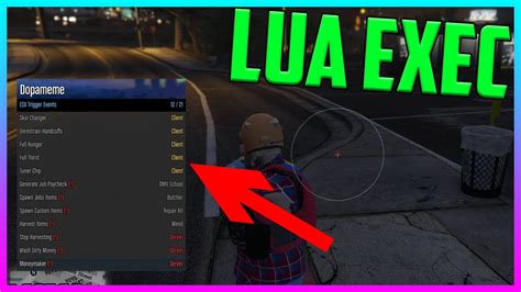 fivem lua exec working private lua menu scripthook bypass dumper