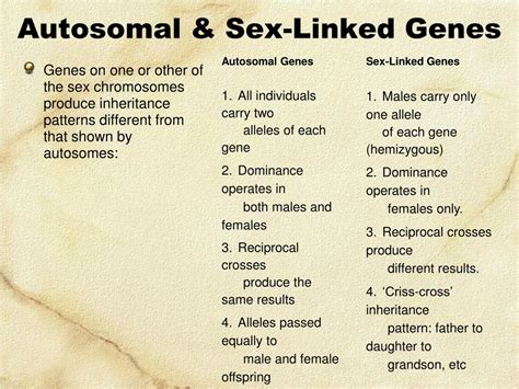 Ppt Linked Genes Sex Linkage And Pedigrees Powerpoint Presentation