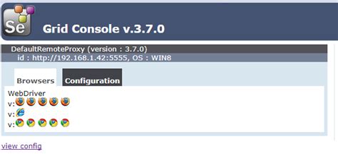 selenium grid ie 11 test suite issue stack overflow
