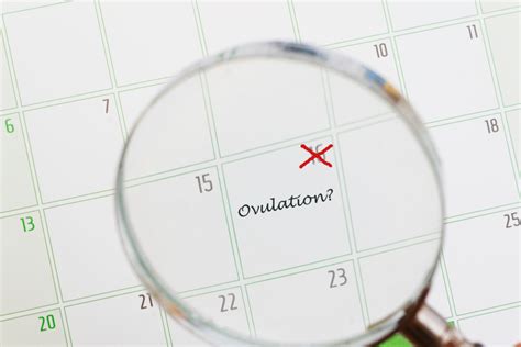 How To Check Your Cervix For Ovulation A Step By Step Guide