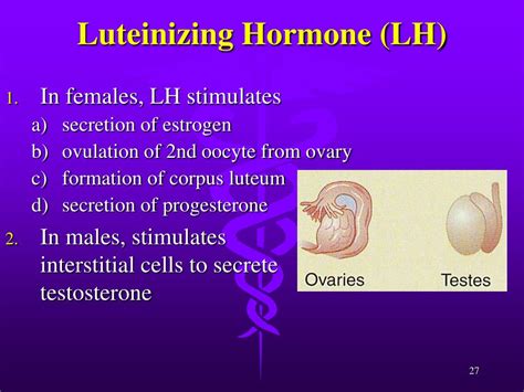 Ppt General Functions Of Hormones Figure 11 2 Page 278 Powerpoint