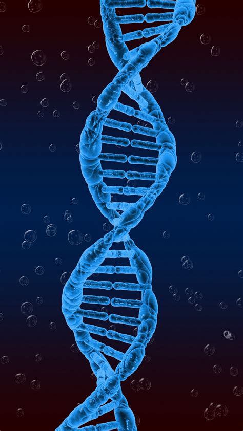 Dna Cutout Png And Clipart Images Toppng